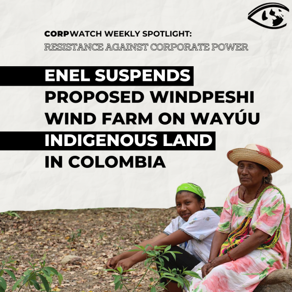 India: Enron's Debacle at Dabhol | corpwatch