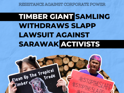 Timber Giant Samling Withdraws SLAPP Lawsuit Against Sarawak Activists ...