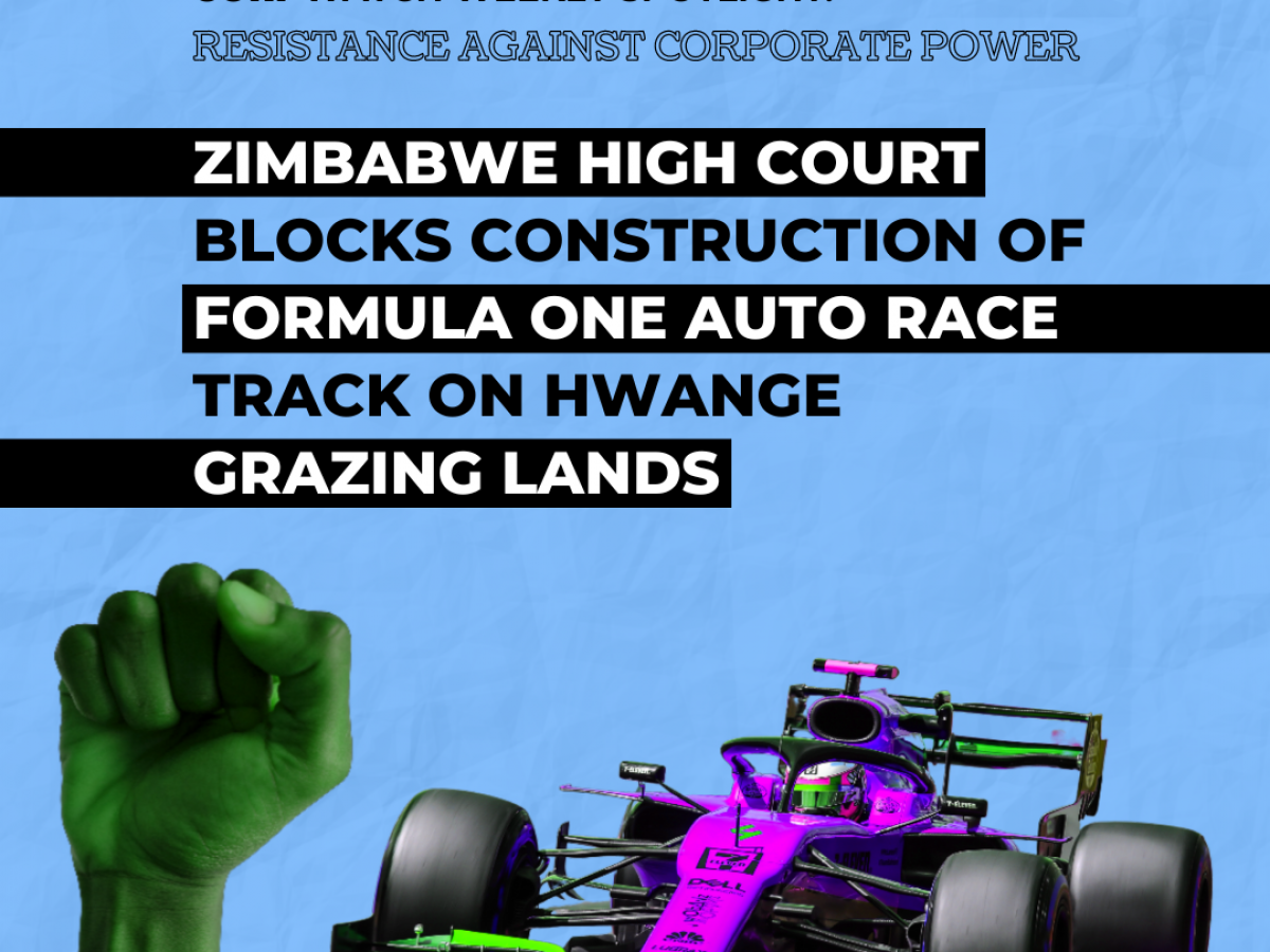 Zimbabwe High Court Blocks Construction of Formula One Auto Race Track ...