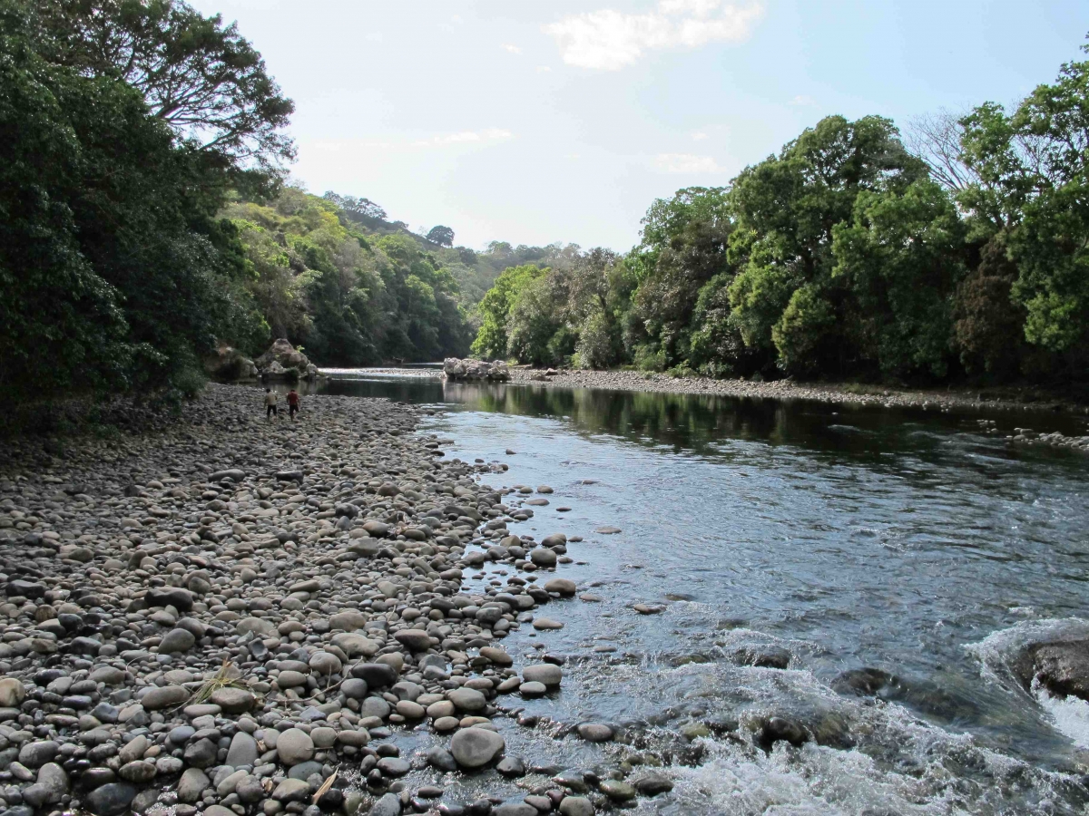 Tabasará River Communities Struggle to Halt Panamanian Dam Project ...