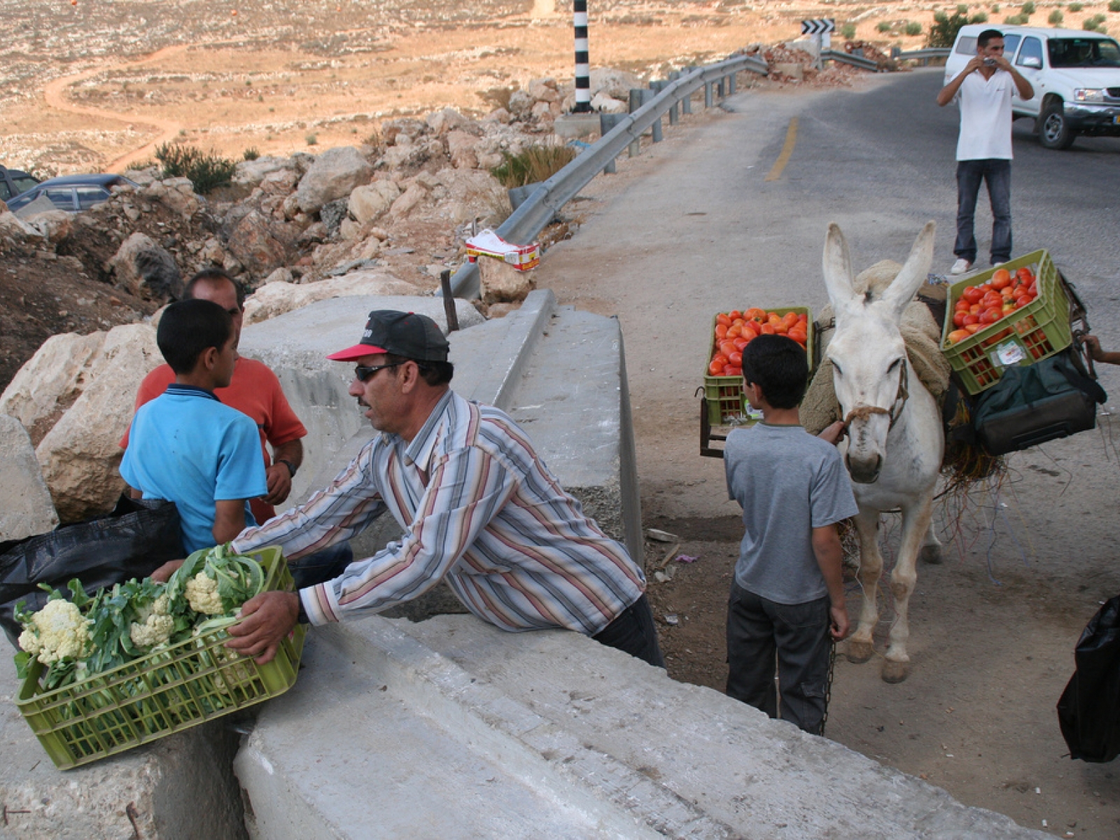 Mehadrin "Jaffa" Oranges May Come from Occupied Palestinian Land ...