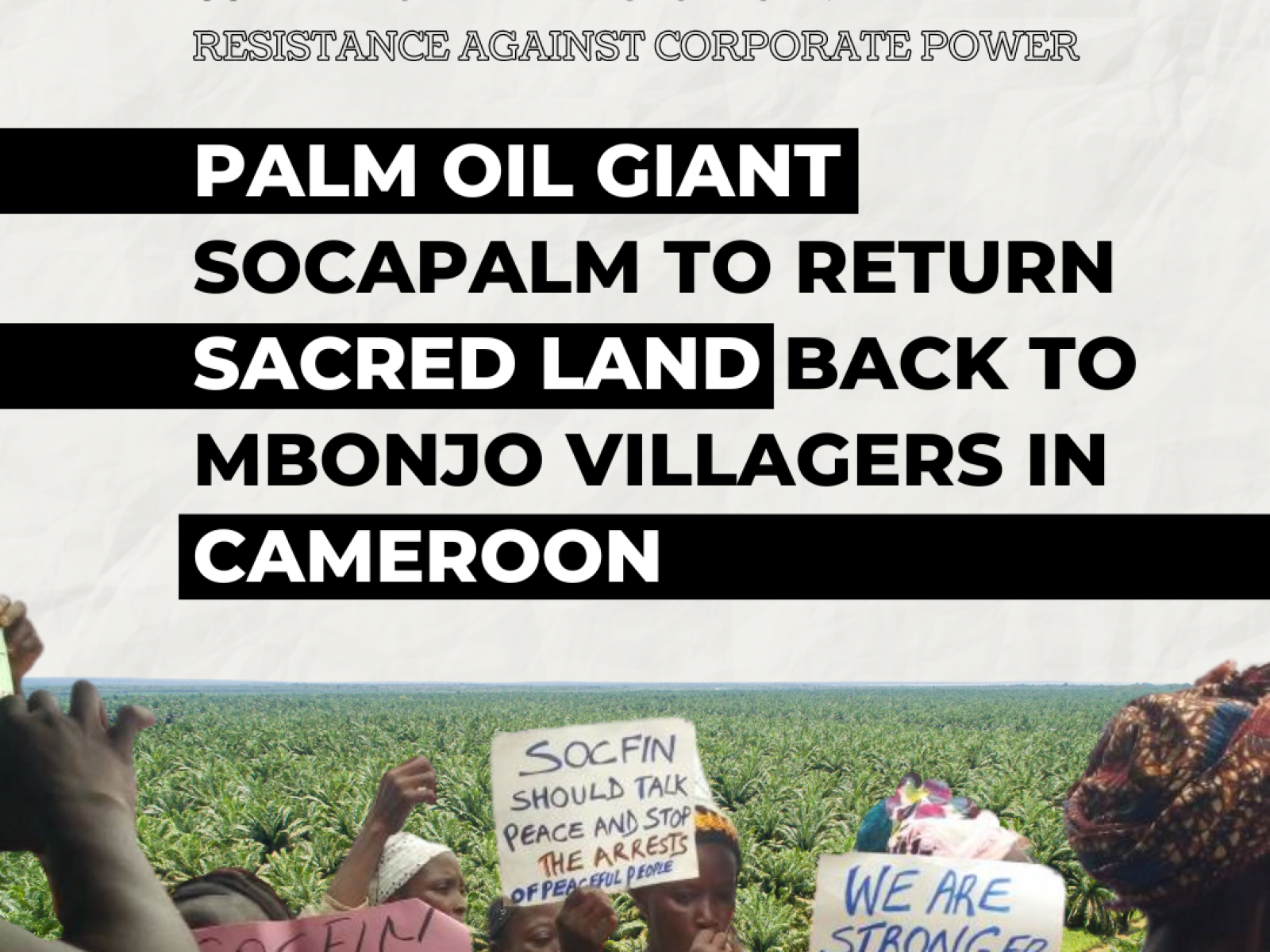 Palm Oil Giant SOCAPALM to Return Sacred Land Back to Mbonjo Villagers ...