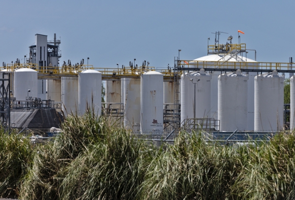 Balchem Corp / BCP Ingredients | corpwatch